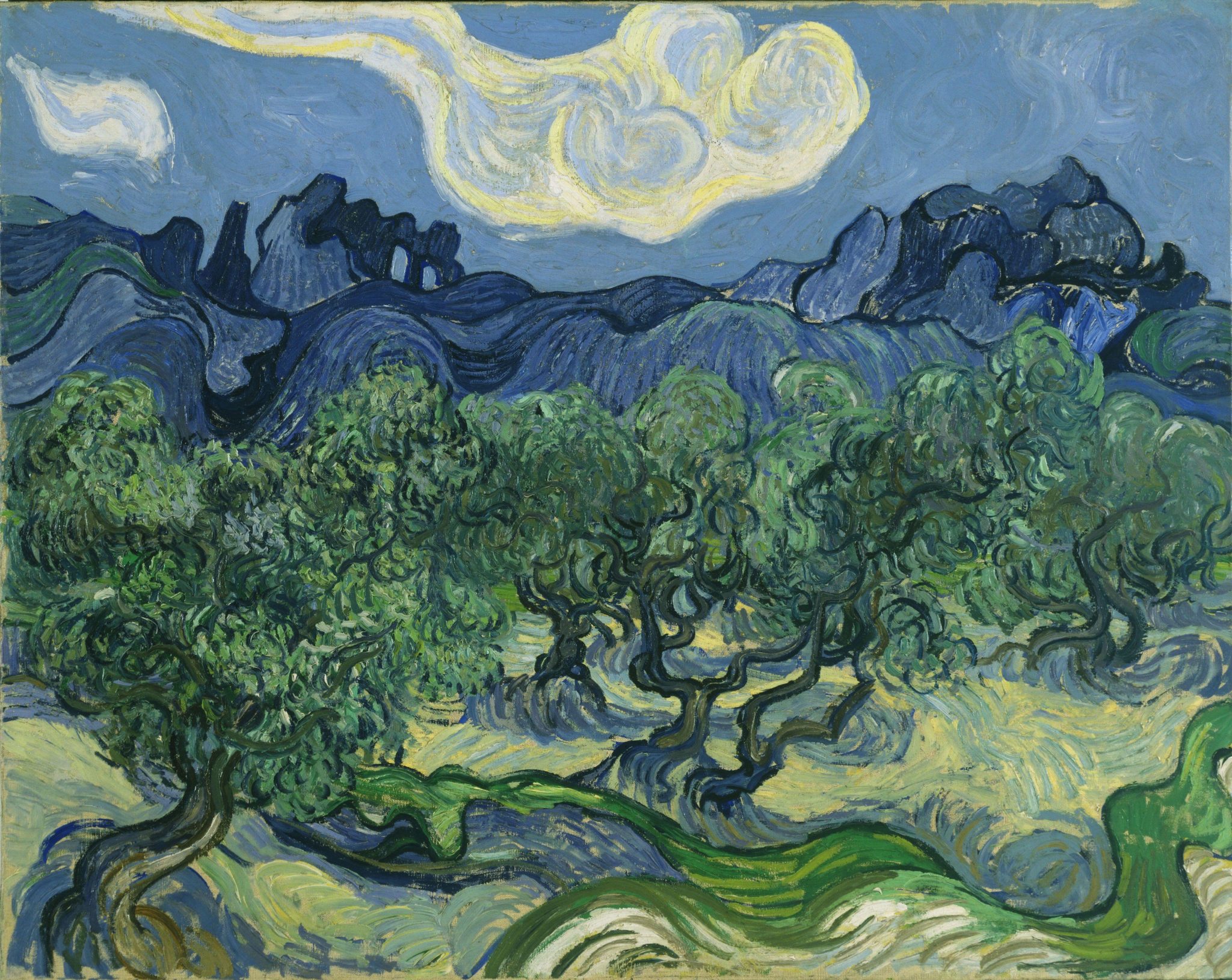Olive Trees with the Alpilles in the Background (1889) - Tracing Vincent